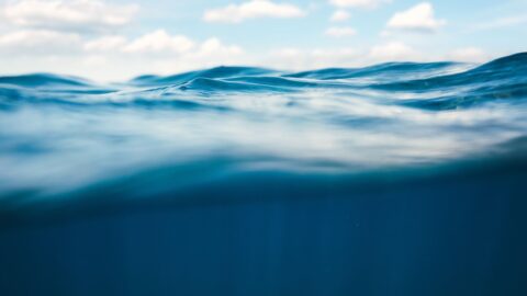 Open Space: Eine dynamische Methode zur Gruppenmoderation - ideen ...